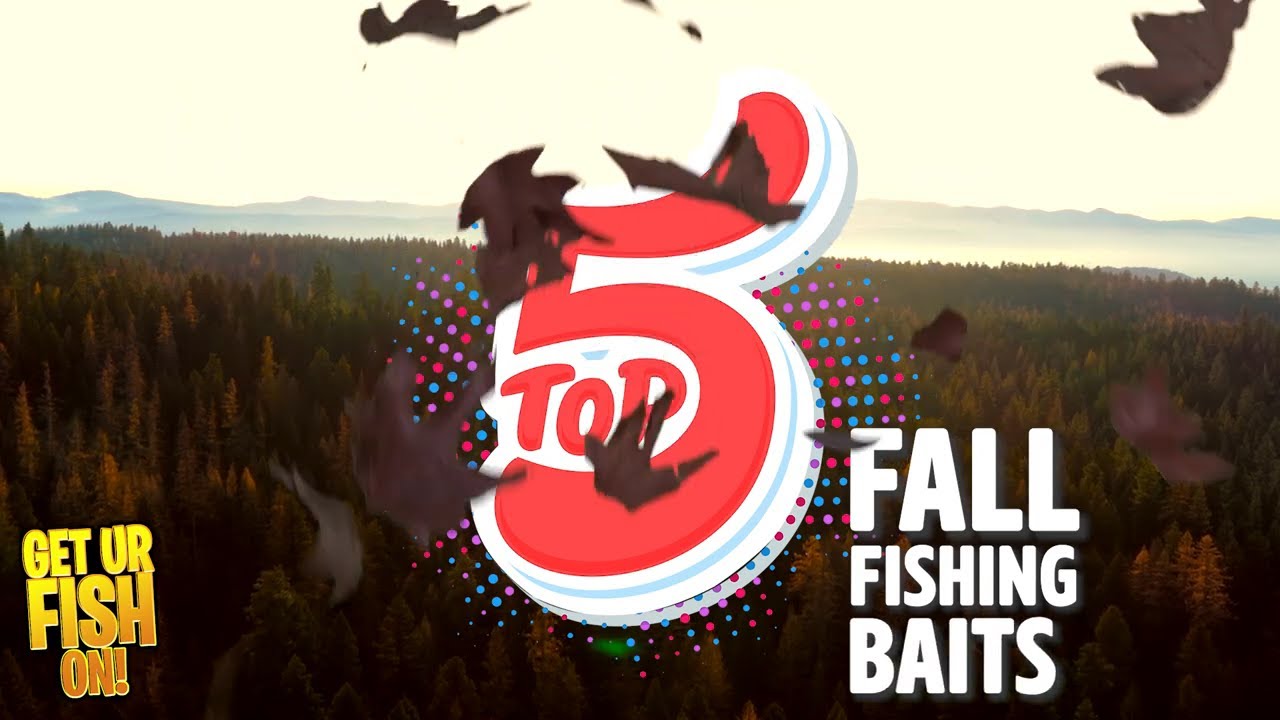 Top 5 Bass Fishing Lures: Fall Fishing Tips & Techniques for Beginners ...